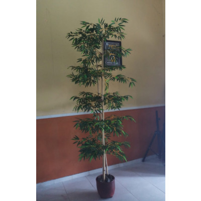 NTB Mall:E-Commerce NTB - Hiasan Interior